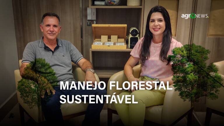 Entenda o Plano de Manejo Florestal Sustentável e sua viabilidade ...